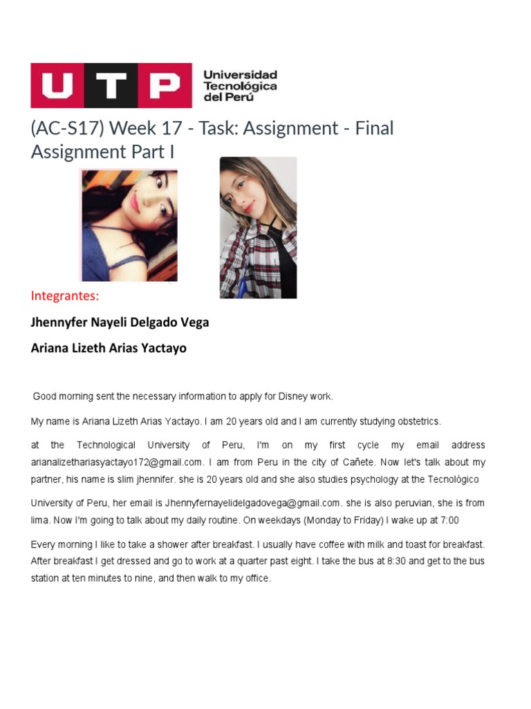 (AC-S17) Week 17 - Task: Assignment - Final Assignment Part I | PDF