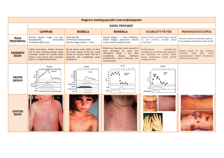 Diagnosis Banding Ruam Makulopapular | PDF