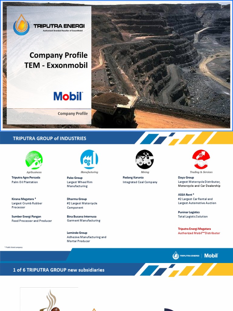 PT Triputra Energi Megatara Company Profile 2021 | PDF | Exxon Mobil ...