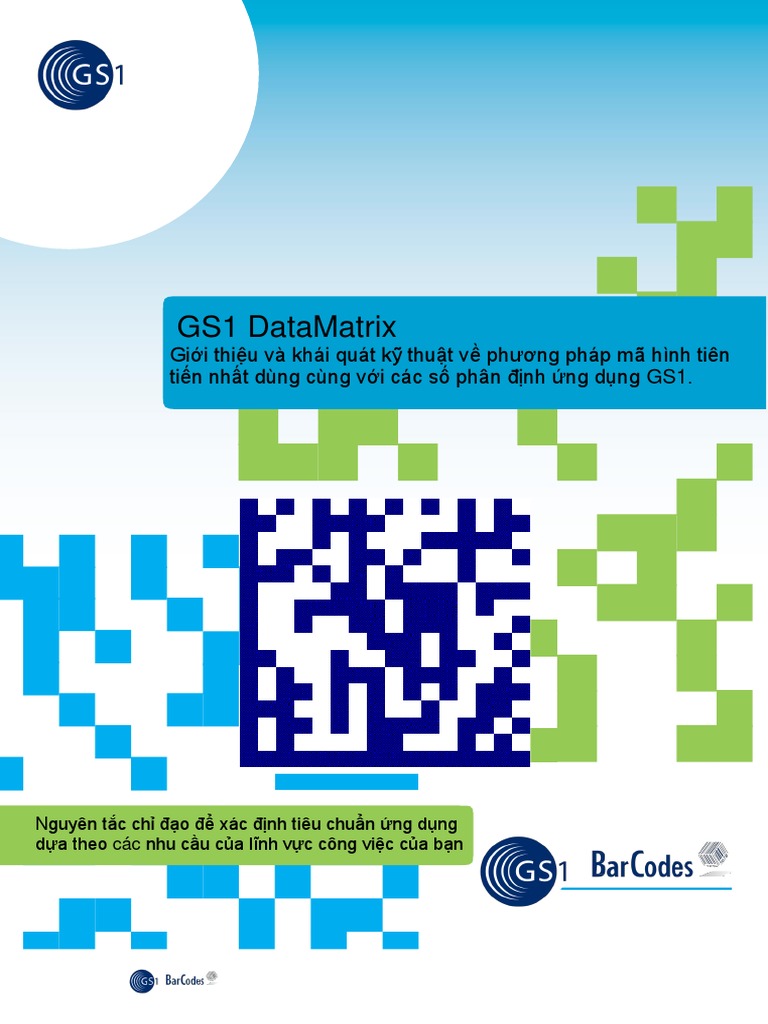 GS1 DataMatrix | PDF