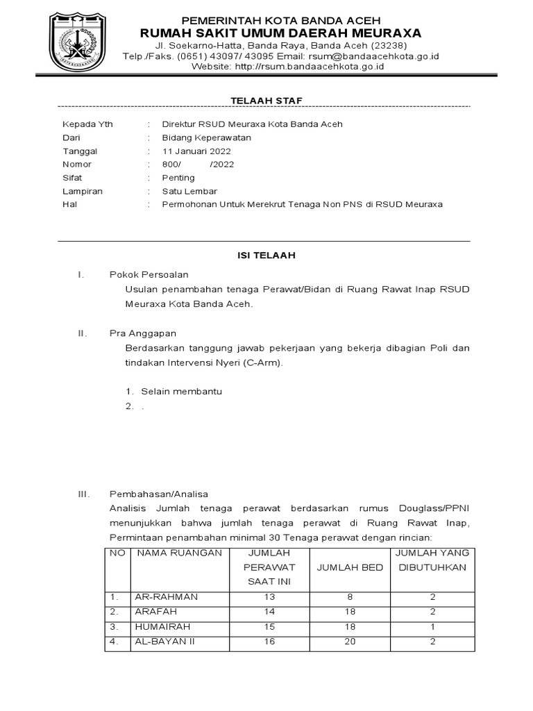 Contoh Telaah Staff | PDF