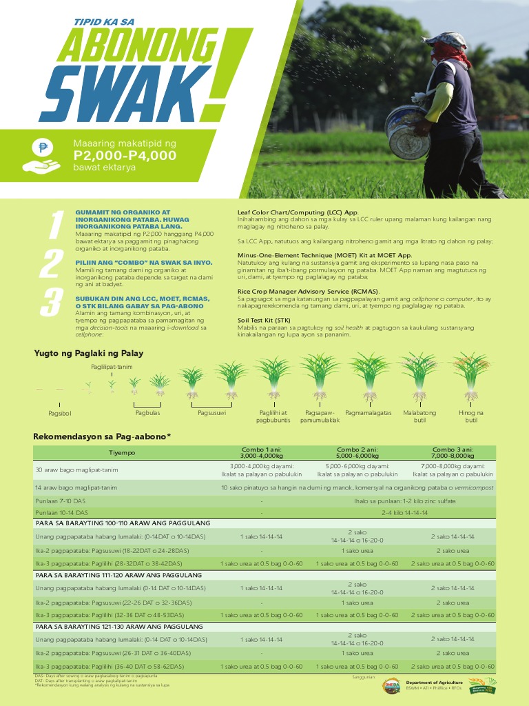 Abonong Swak Poster | PDF