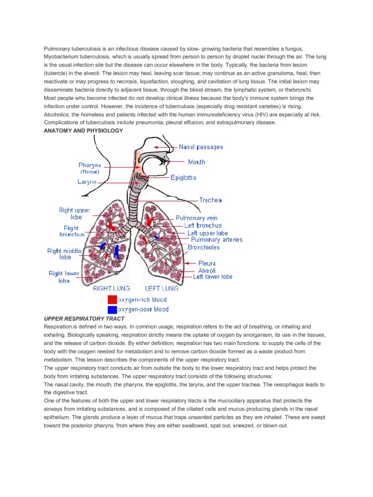 Pulmonary Tuberculosis | PDF | Respiratory Tract | Larynx
