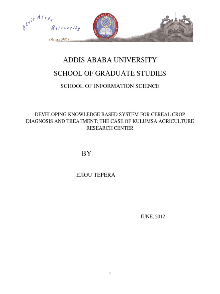 Ejigu Tefera | PDF | Wheat | Agriculture
