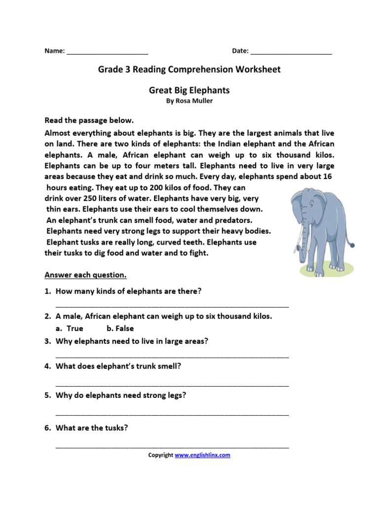 Grade 3 Reading Comprehension Worksheet Great Big Elephants | PDF ...