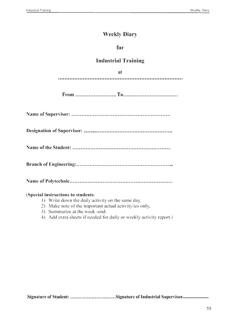 Weekly Report In Word Format PDF