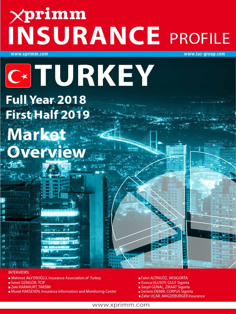 Turkish Report 2019 | PDF | Inflation | Unemployment