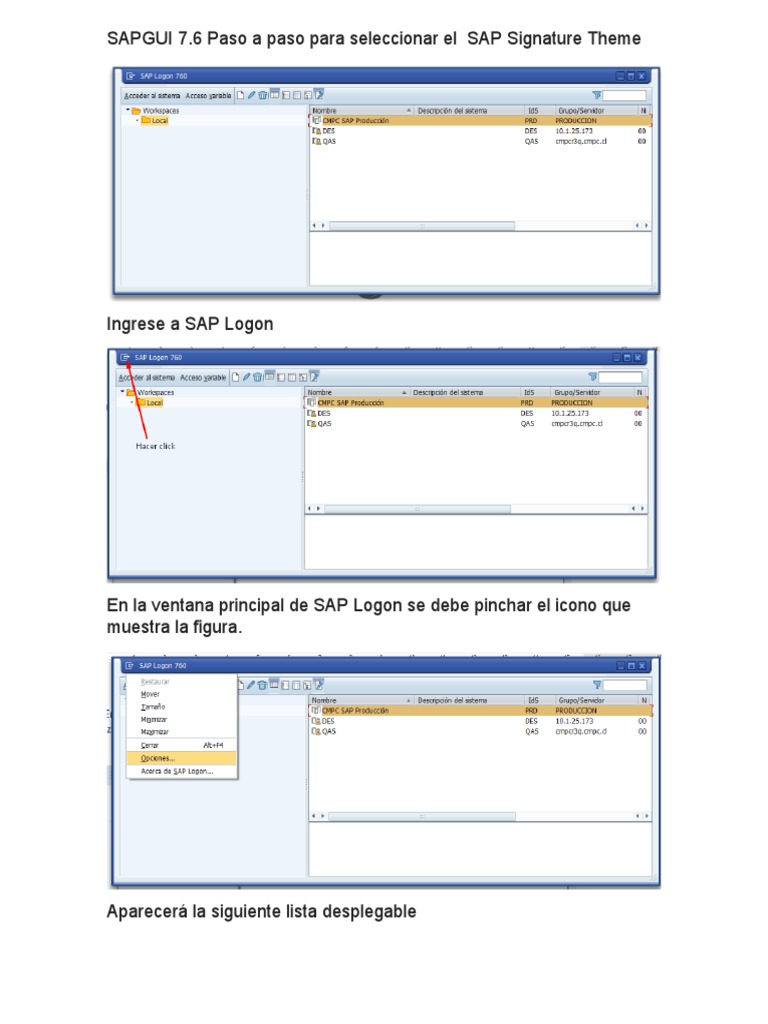 Paso A Paso para Seleccionar El SAP Signature Theme - SAPGUI 76 | PDF