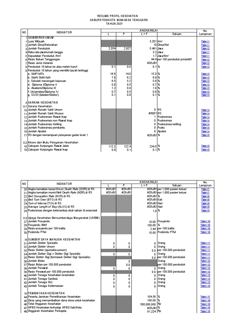 PKM Silian Profil Kes 2019 | PDF