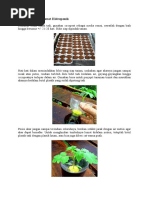 Fase Pertumbuhan Tanaman: Vegetatif & Generatif | PDF