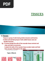 BIO-TISSUES MIND MAP Class 9 | PDF