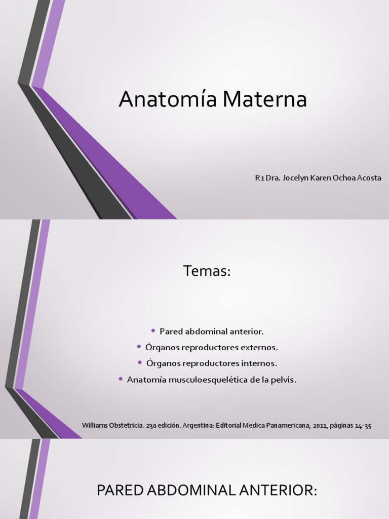Anatomia Materna | PDF | Pelvis | Sistema musculoesquelético