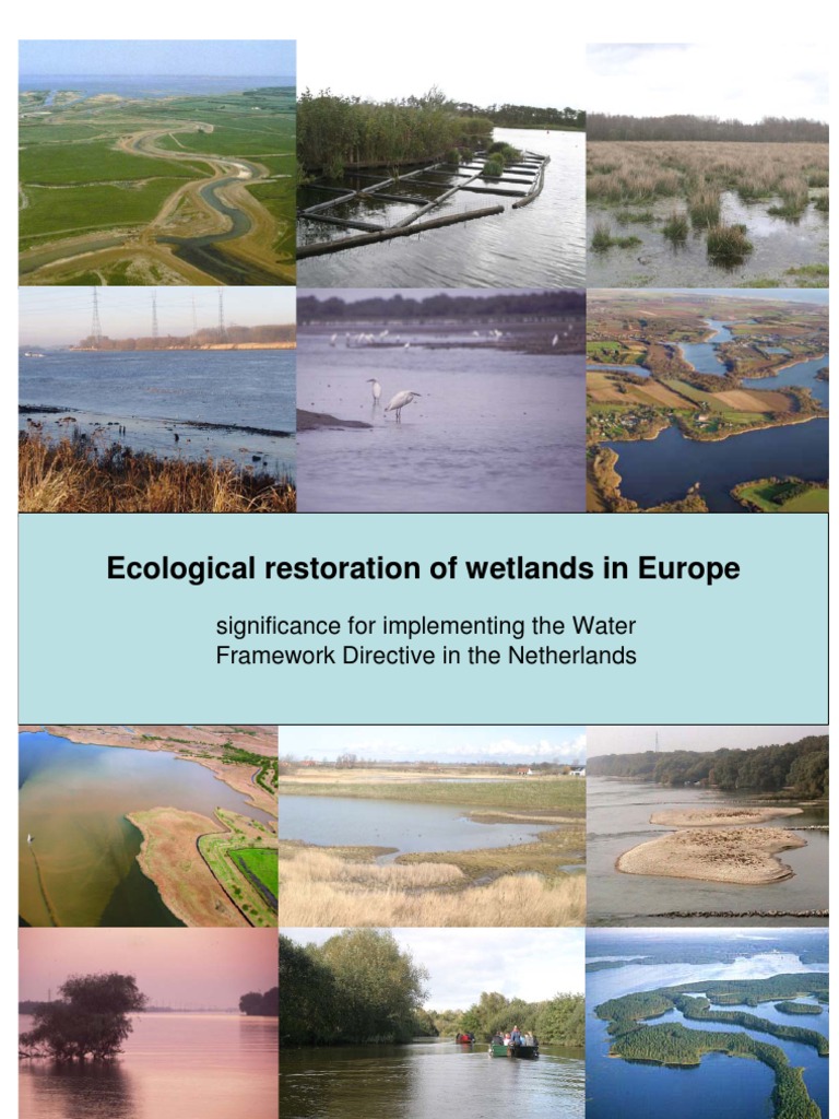 Ecological restoration of wetlands in Europe | Wetland | Restoration ...