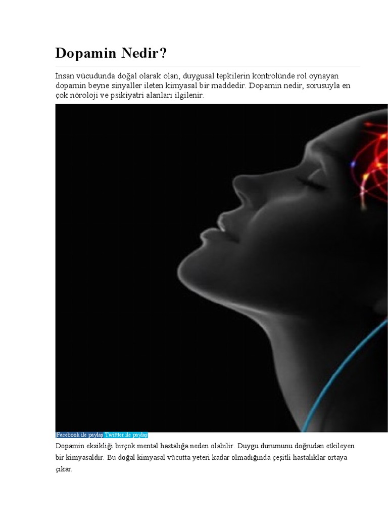 Dopamin Nedir | PDF