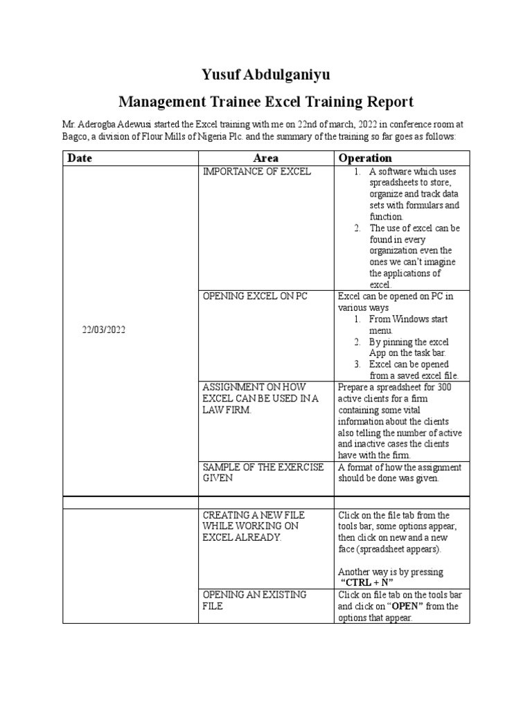 Excel Report PDF Microsoft Excel Spreadsheet
