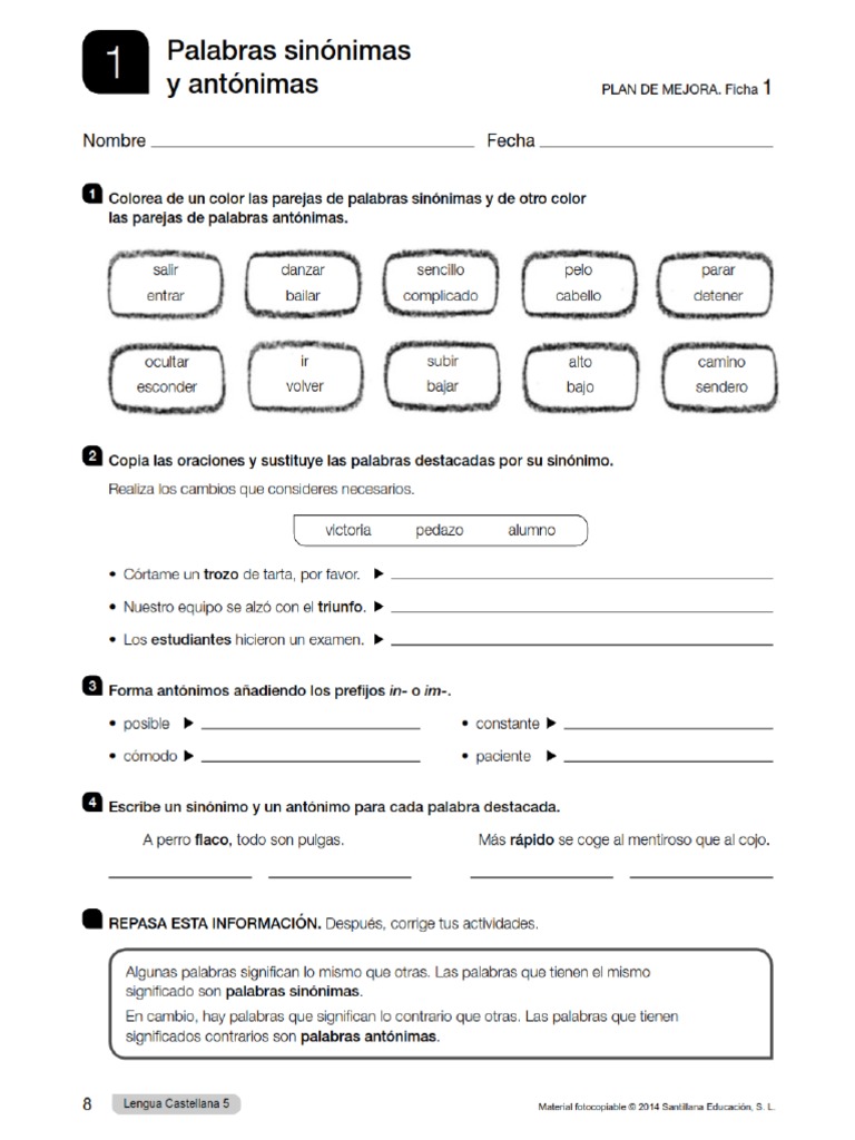 Sinónimos y Antónimos | PDF