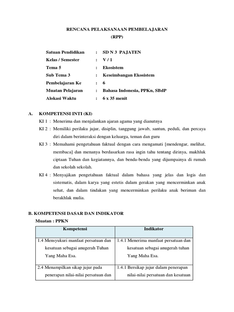 RPP PBL Kelas 5 | PDF