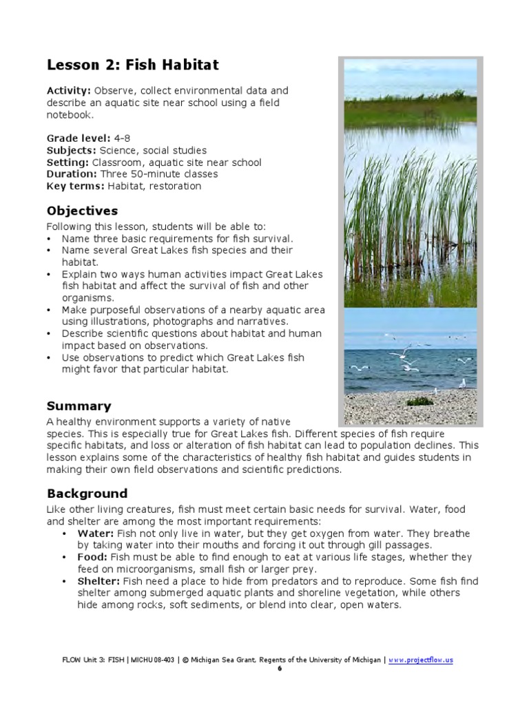 Fish Habitat FLOW U3 L2 MICHU 08 403 1 | PDF | Habitat | Lake