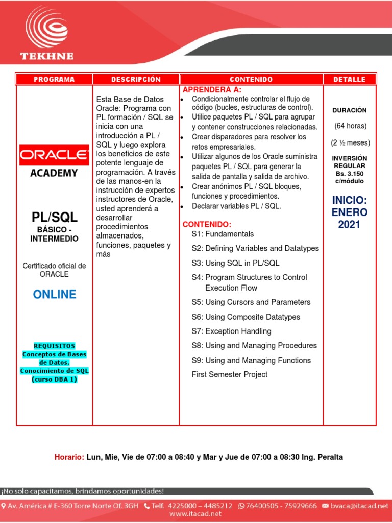 PLSQL Intensivo | PDF | Pl / Sql | Gestión de datos