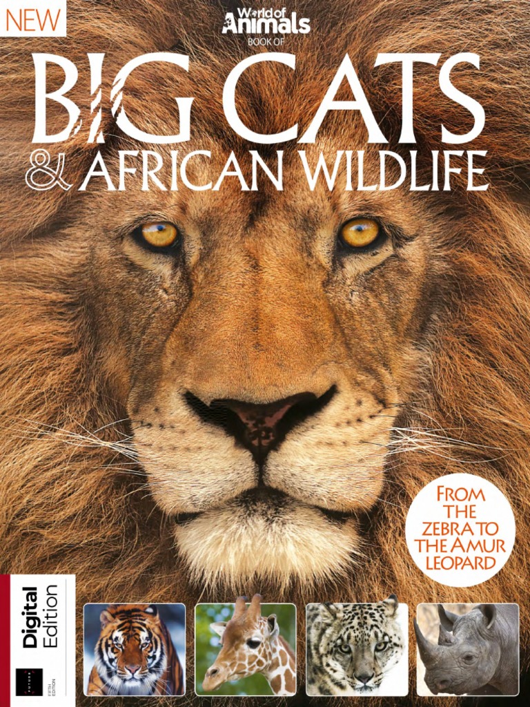 Big Cats & African Wildlife (PDFDrive) | PDF
