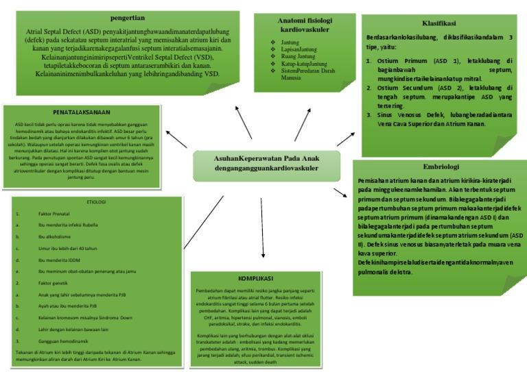 Concept Mapping Kelompok 2 ASKEP ASD | PDF