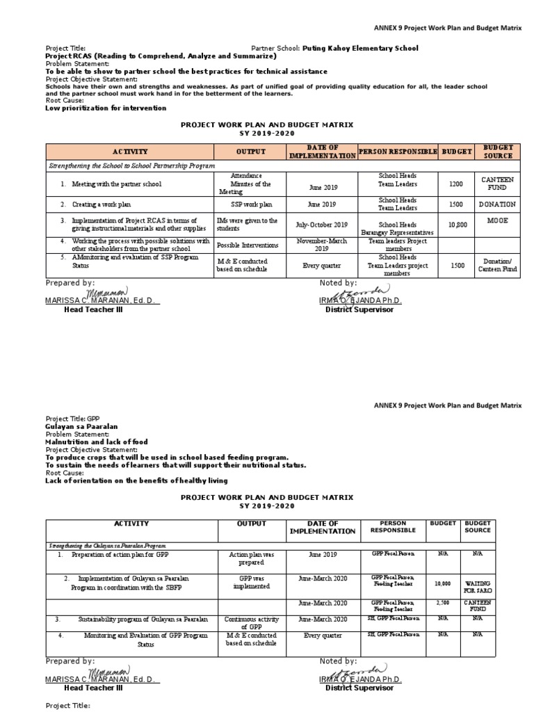 Project Work Plan and Budget Matrix | PDF | Teachers | Cognition