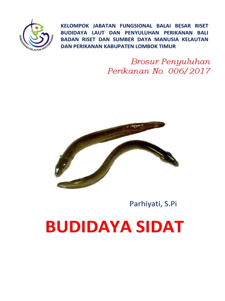 BROSUR Budidaya Ikan Sidat | PDF