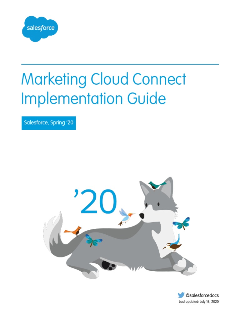 MC Connect Implementation Guide | PDF | Cloud Computing | Customer Relationship Management