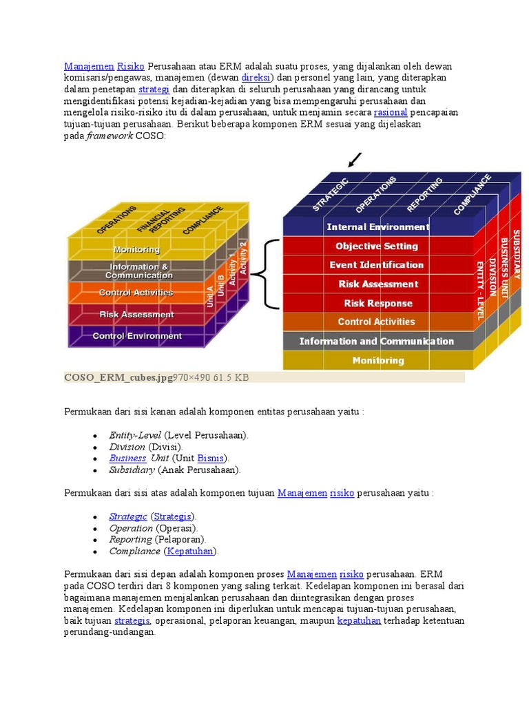 Kerangka Manajemen Risiko COSO | PDF