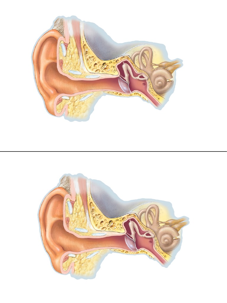 Campbell Et Al. - 2010 - Biology Ninth Edition | PDF