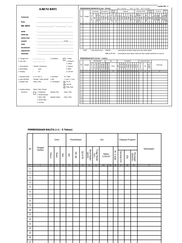 Format Kohort Bayi Dan Anak Balita | PDF