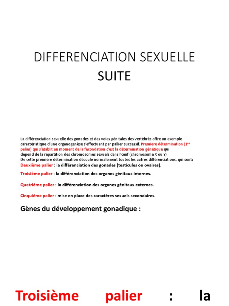 DIFFERENCIATION SEXUELLE Suite | PDF | Système reproducteur | Androgène