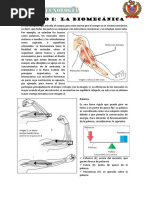 Palancas y Torque en Biomecánica | PDF | Palanca | Fuerza