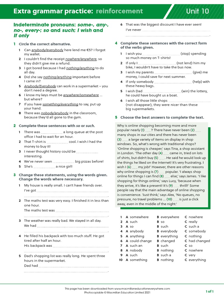 Extra Grammar Practice: Reinforcement: Unit 10 | PDF | Online Shopping