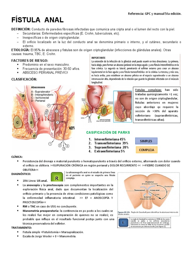 Fístula Anal Pdf Tuberculosis Inmunología