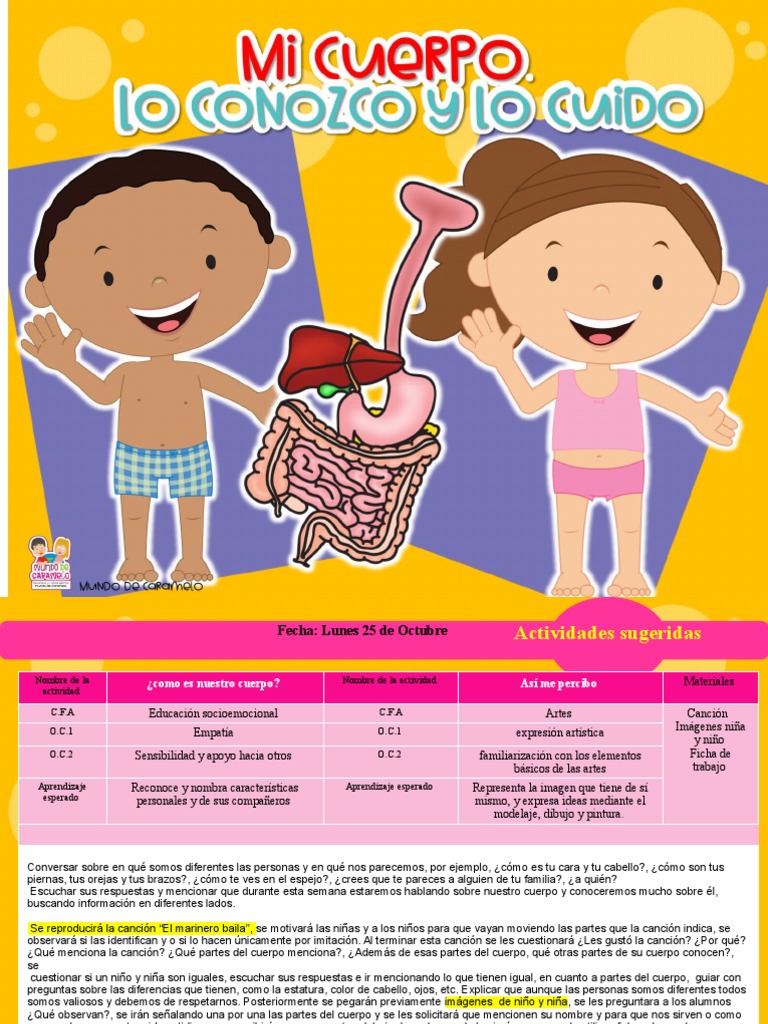 Actividad de Preescolar Cuerpo Humano | PDF | Aprendizaje | Imagen