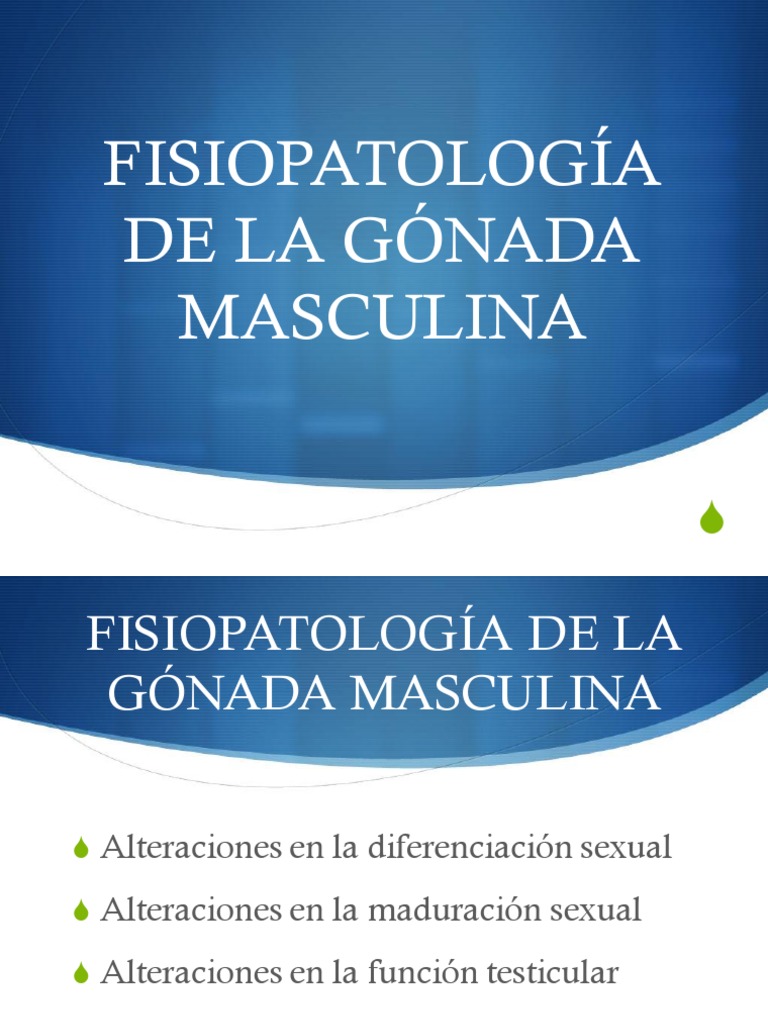 FSP Gonada Masculina | PDF | Intersexual | Andrógino