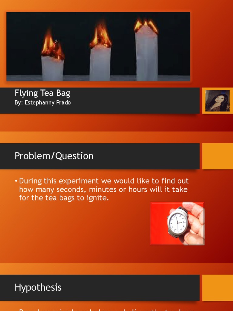 Science Fair | PDF