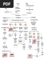 Pathway Penyakit Cad | PDF