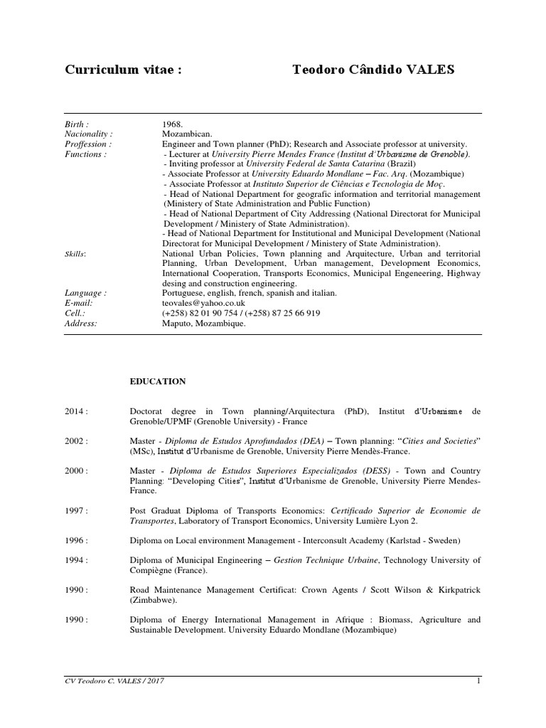 Cv Eng Vales Teodoro | PDF | Mozambique | Science