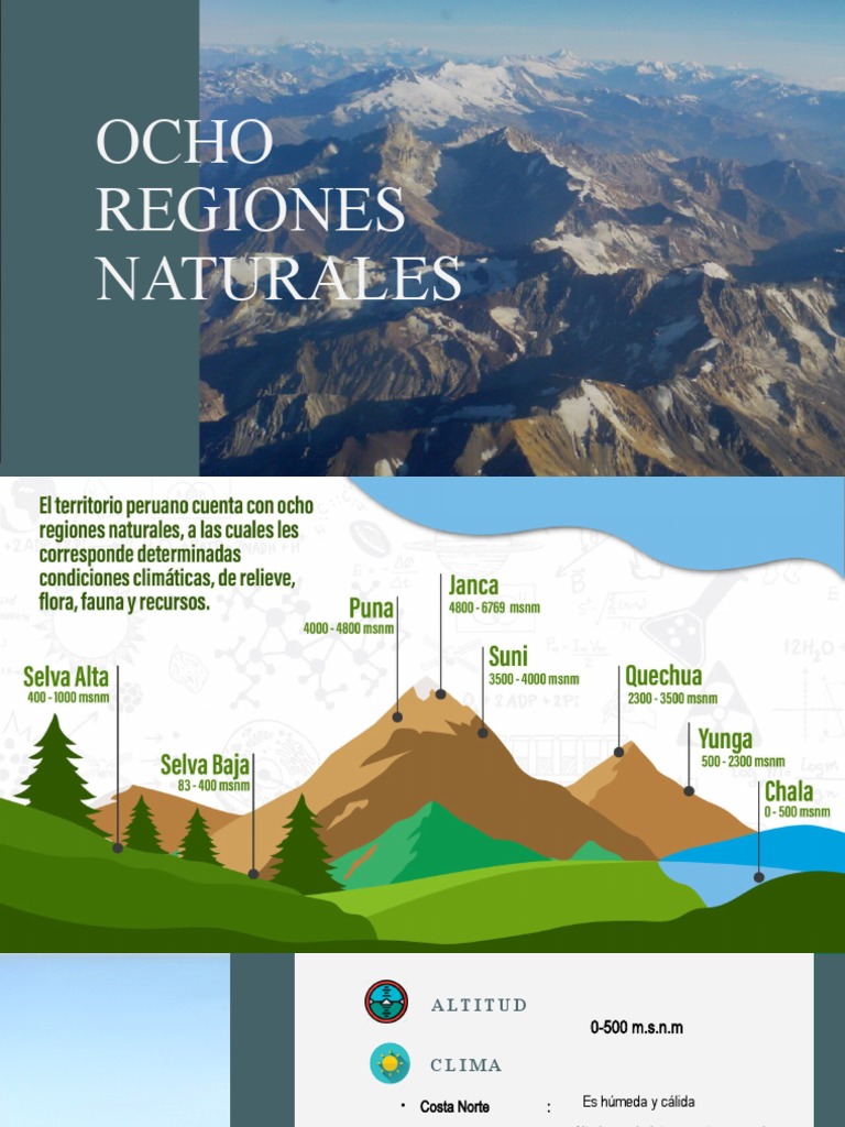 Ocho Regiones Naturales | PDF | Clima | Clima templado