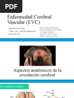 Irrigación Cerebral: Anatomía Detallada | PDF | Cerebelo | Cerebro