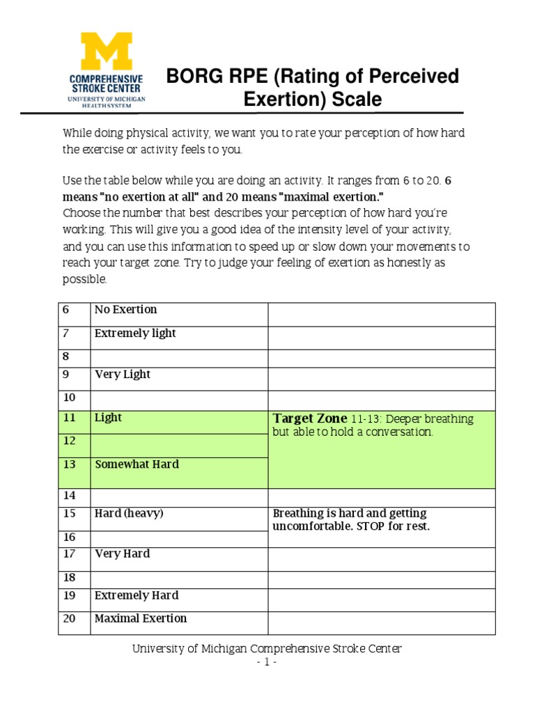BORG RPE (Rating of Perceived Exertion) Scale: Target Zone | PDF
