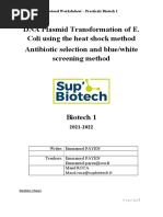 DH5α Competent Cells Transformation Guide | PDF | Transformation ...