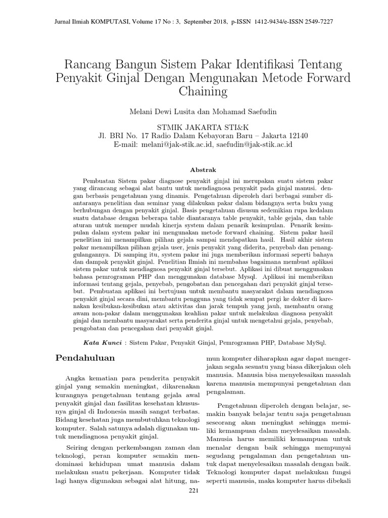 Rancang Bangun Sistem Pakar Identifikasi Tentang Penyakit Ginjal Dengan ...