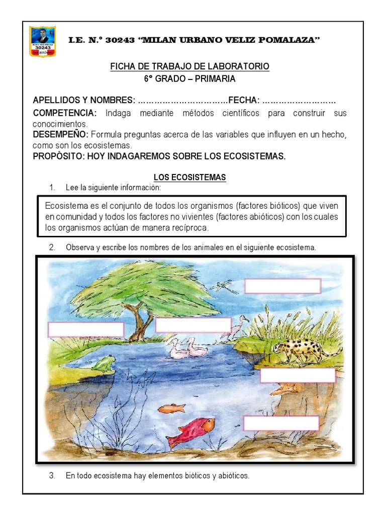 Hojas De Trabajo Sobre Ecosistemas Diseño De Actividad Realizado Por