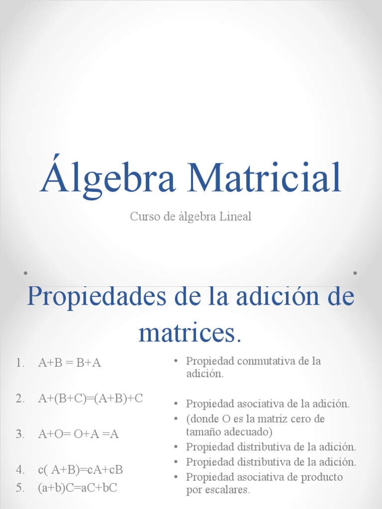 Propiedades y Ejemplos de Álgebra Matricial | PDF