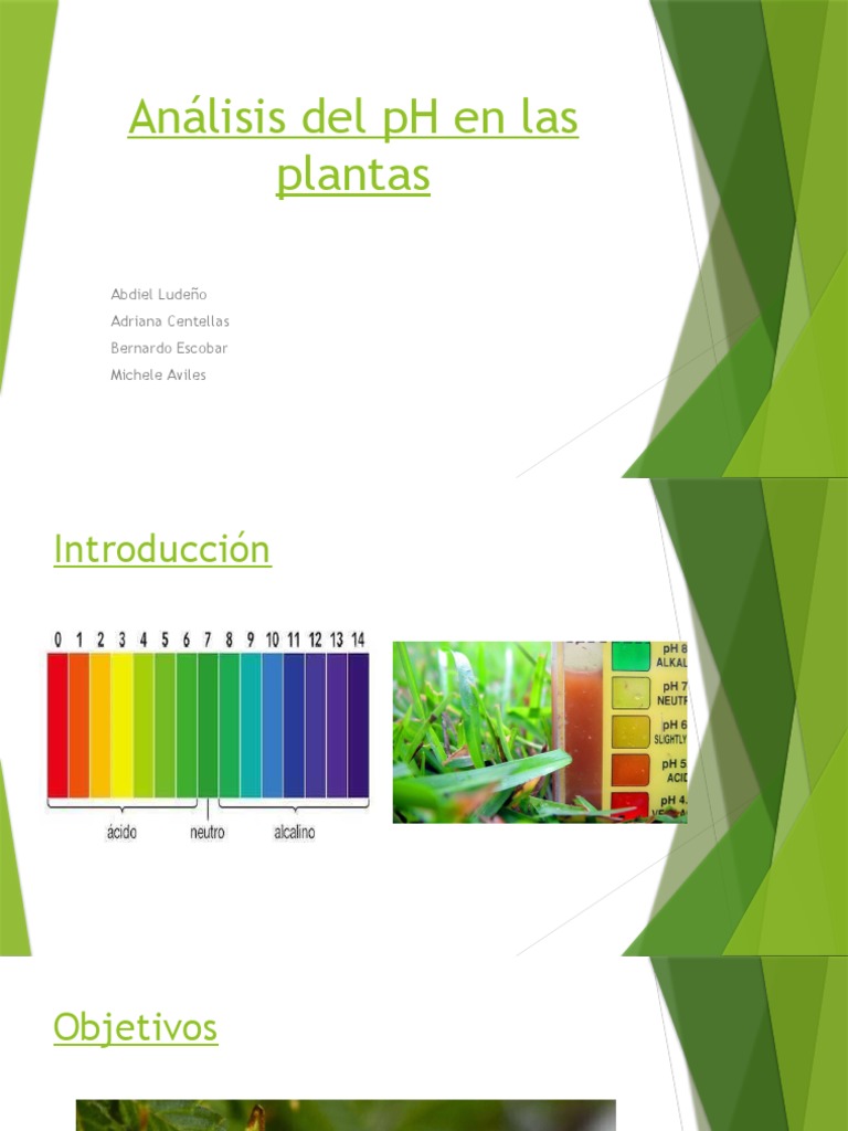 Análisis Del PH en Las Plantas | PDF | Relaciones personales, crianza y ...