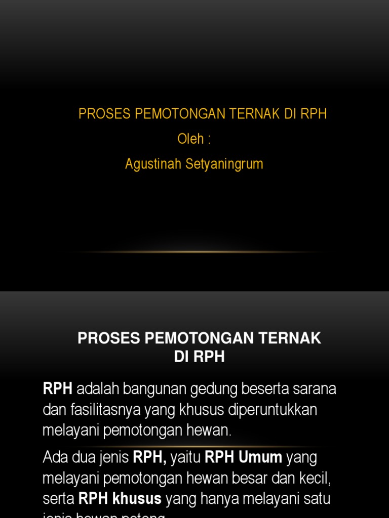 Proses Pemotongan Sapi di RPH | PDF