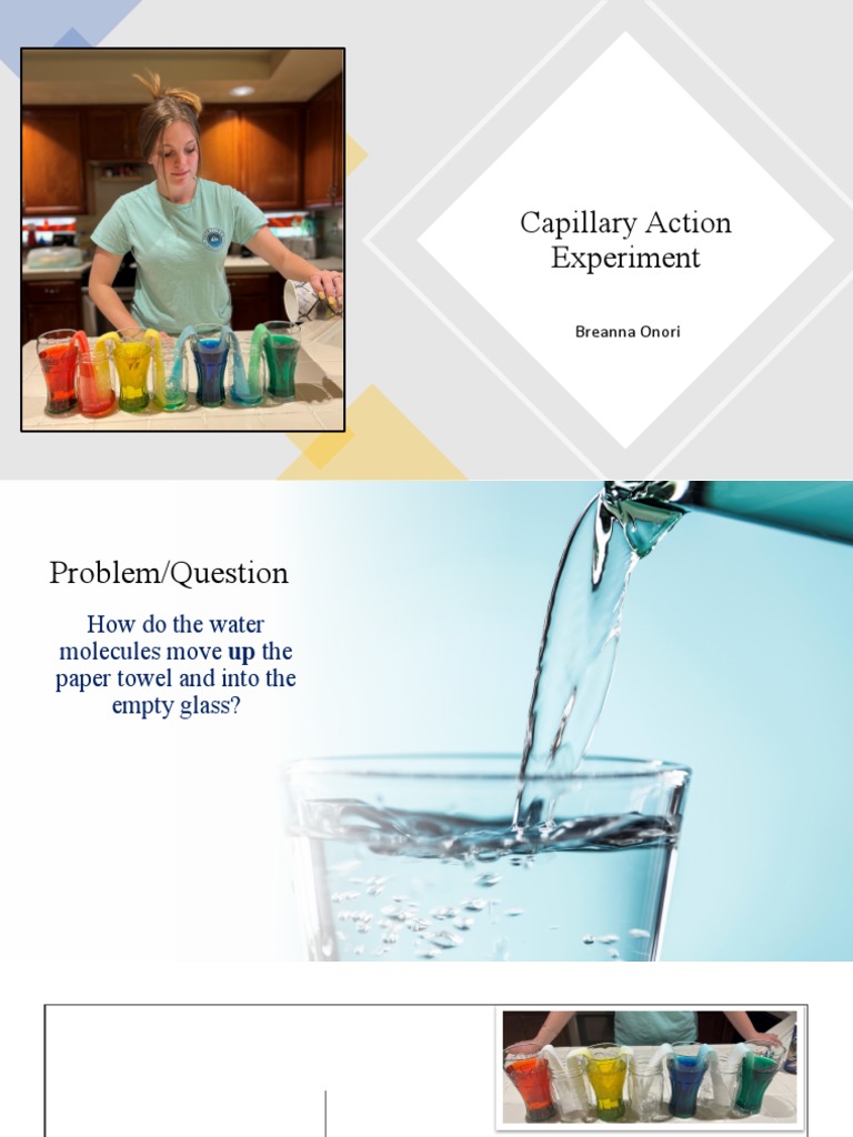 capillary action experiment | PDF